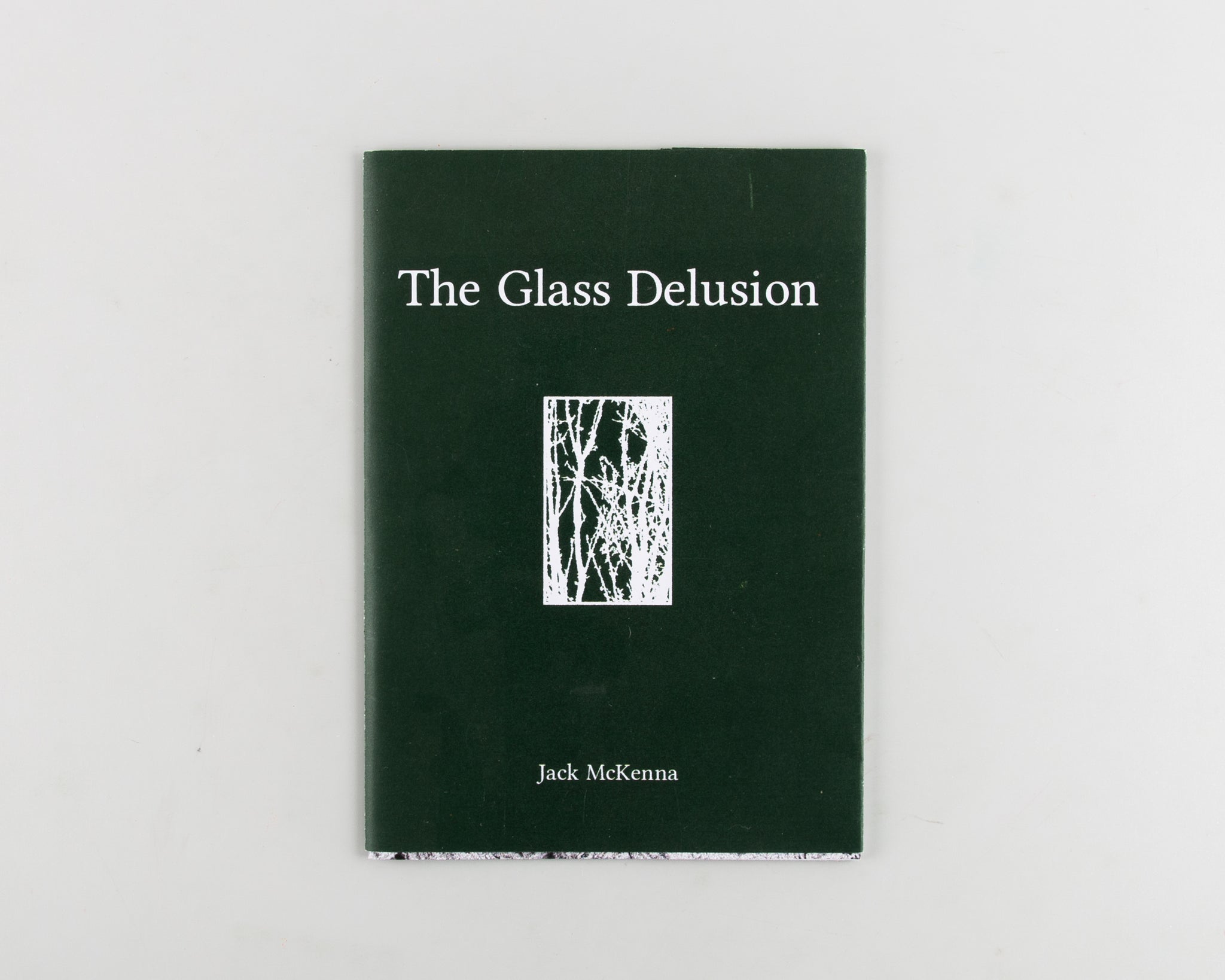 The Glass Delusion by Pigeon Laughter | Village. Leeds, UK